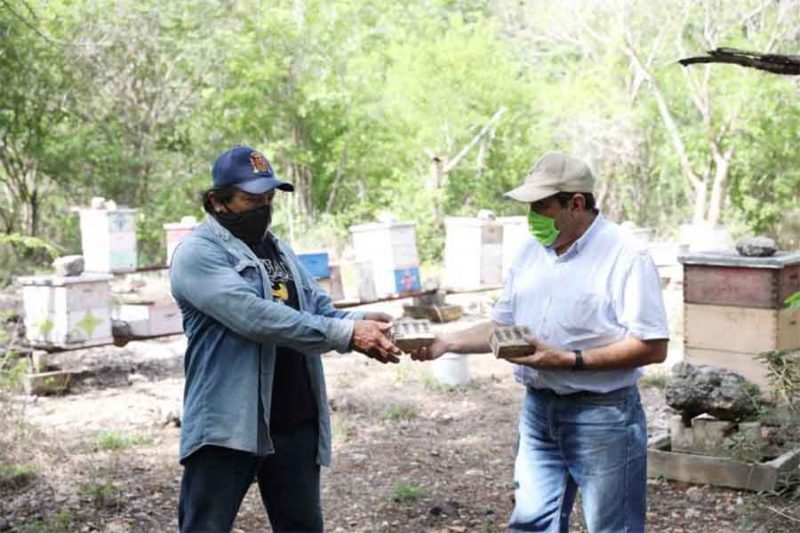 Apicultores son respaldados para impulsar la producción de miel