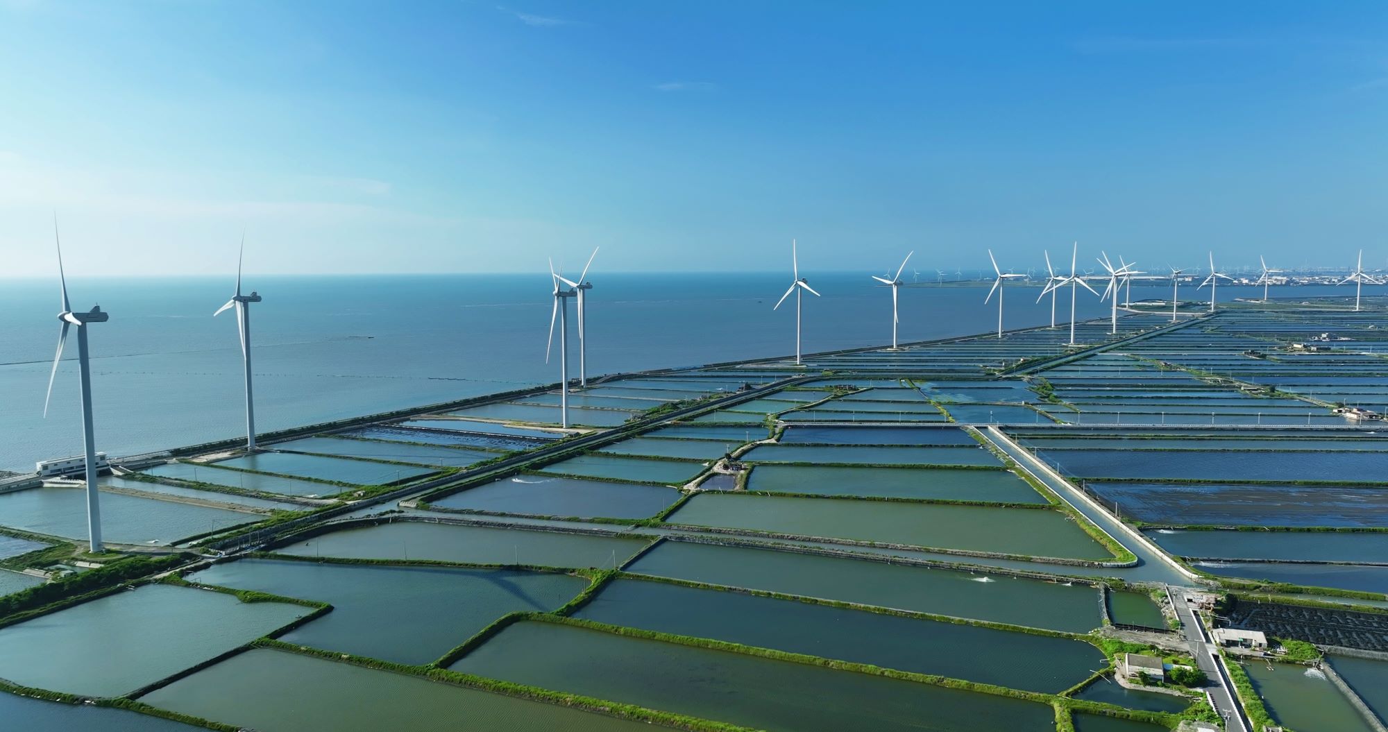 Energía Limpia para Todos: La Alianza por la Equidad Energética en ...